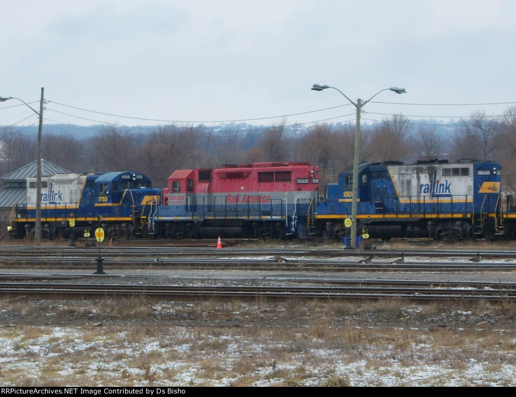 RLK 1808 SOR 5005 RLK 1755